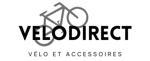 Shlomo scooter électrique 4 roues AFIKIM à énergie solaire - Vélo Direct